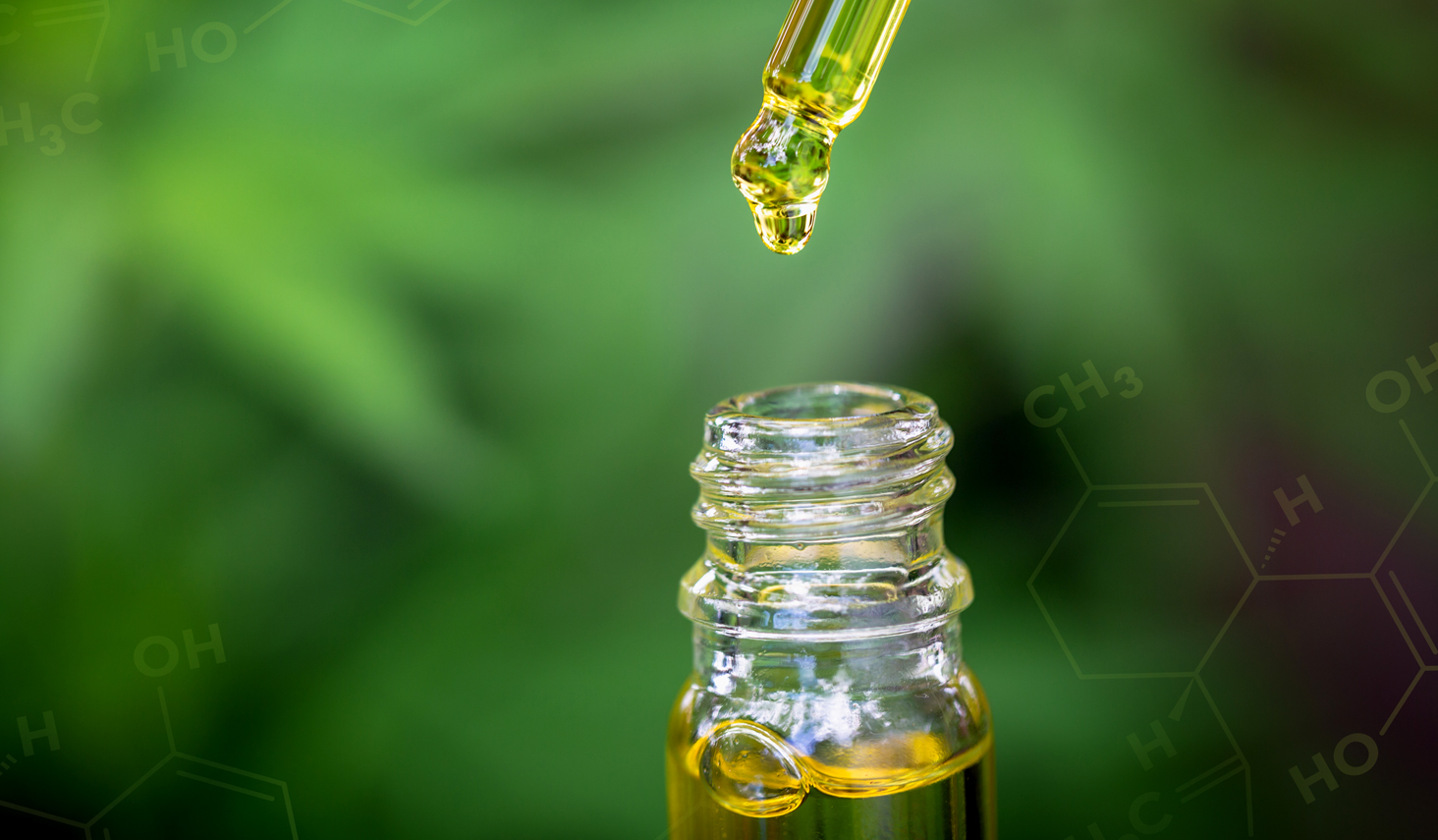 The ABC’s of CBD: Why It’s Growing & How to Know if It’s Right For Your ...